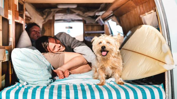 Nomad Campervans | Luxury Campervan & Motorhome Conversion & Sales